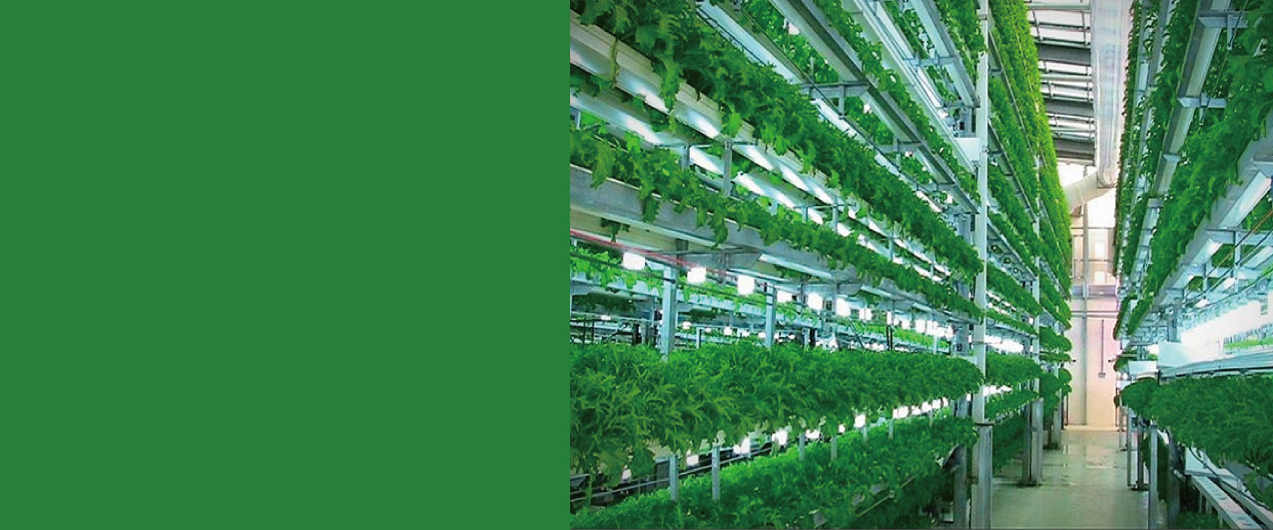 Ledtech - Ledtech 華興電子