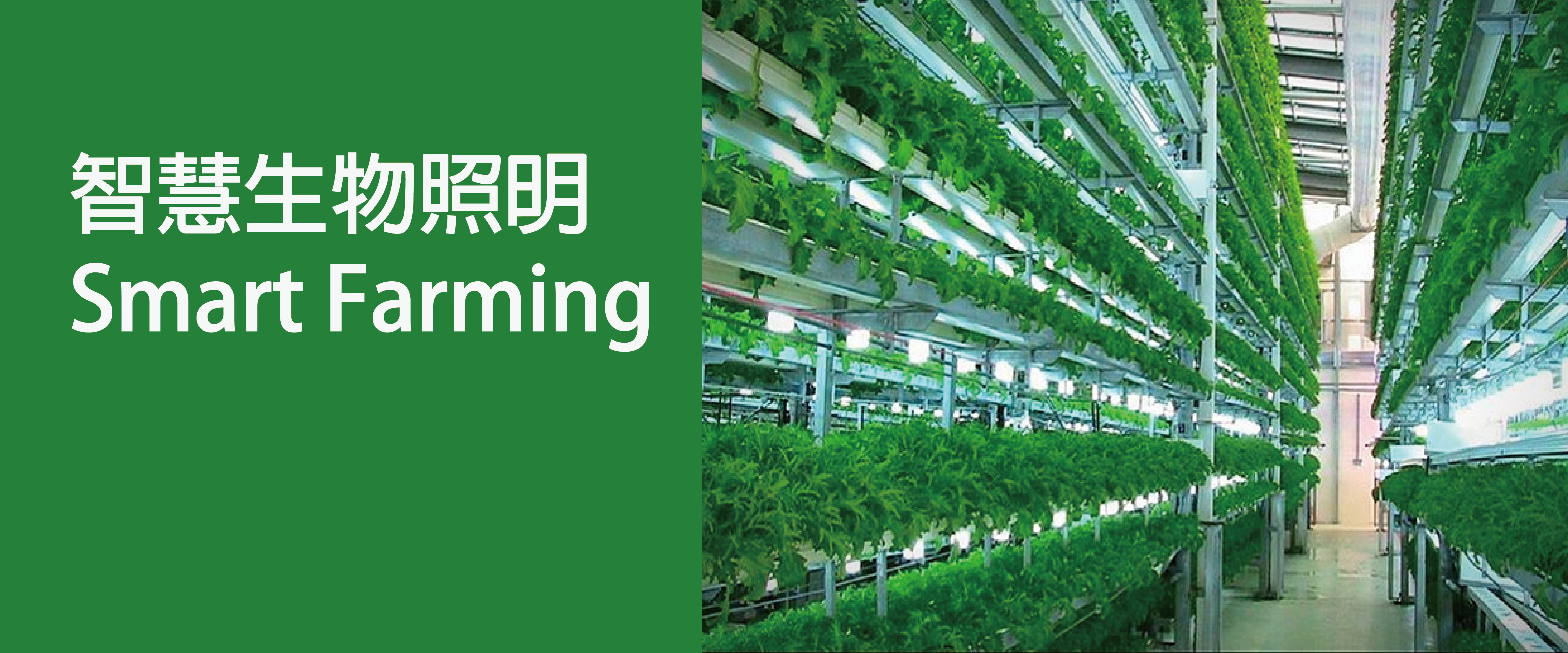 Optical Technology Innovation Center - Ledtech 華興電子